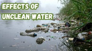Effects of Unclean Water: Environmental Consequences and Community ...