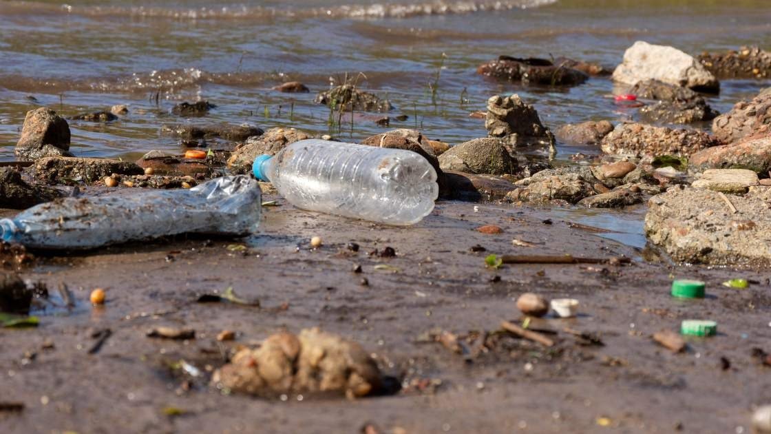 Effects of Unclean Water: Environmental Consequences and Community ...
