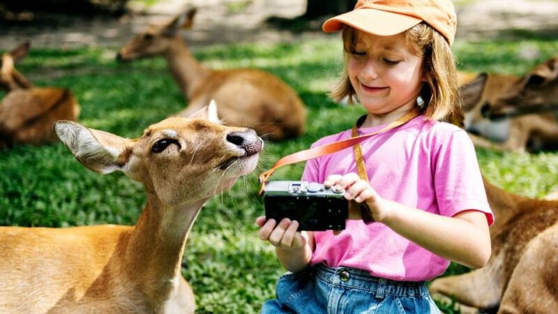 How Seasons Affect Animals: The Complete Science Behind Seasonal ...